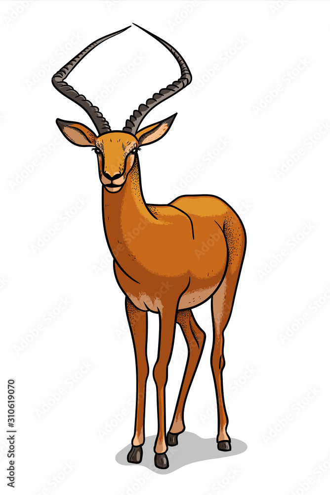 African savannah antelope isolated in cartoon style. Educational ...