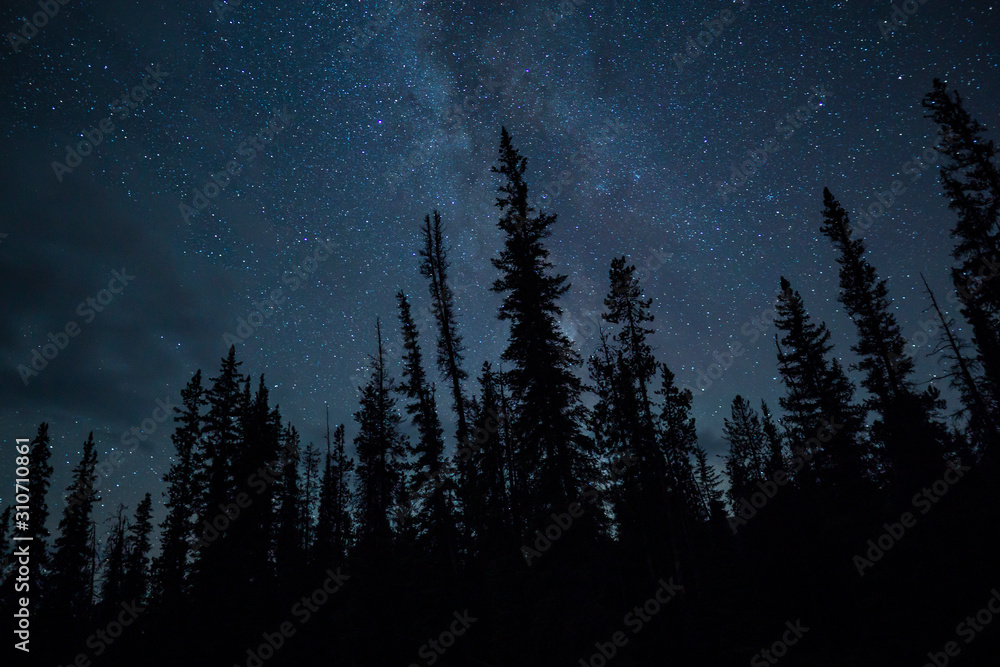 Blue Night Sky Stars And Milky Way With Towering Pine Trees Stock Photo ...