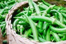 Fresh Picked Okra In Basket Free Stock Photo - Public Domain Pictures
