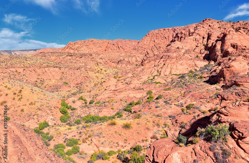 Red Cliffs National Conservation Area Wilderness and Snow Canyon State ...