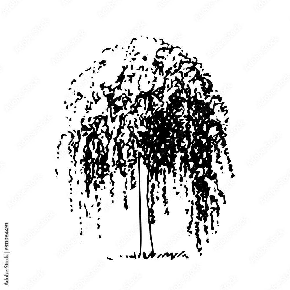 Hand drawn sketch tree, vector landscape element Stock Vector | Adobe Stock