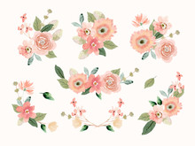 Peach Flower Free Stock Photo - Public Domain Pictures