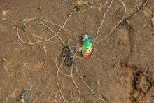 Fishing Lure Tangled Free Stock Photo - Public Domain Pictures