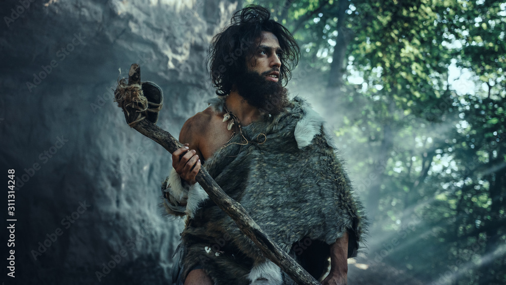 Primeval Caveman Wearing Animal Skin Holds Stone Tipped Hammer Comes ...