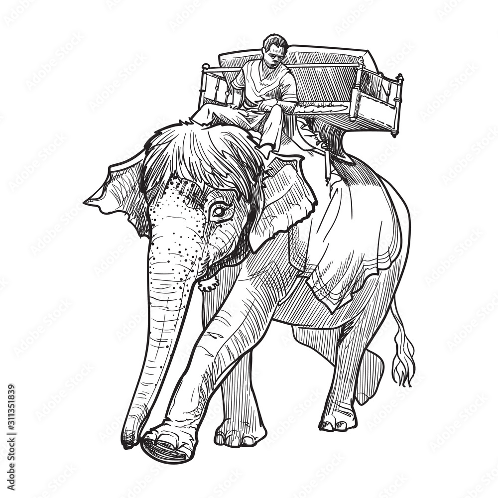 Elephany keeper or mahout riding an Indian elephant in Angkor Wat ...