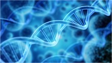 Human DNA Free Stock Photo - Public Domain Pictures