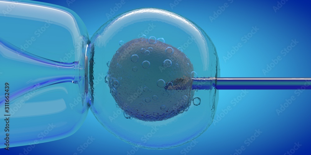 IVF cell and needle injecting, 3D CGI render with blue color, cell ...