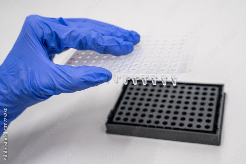 Samples of RNA were prepared in 96 well for real-time PCR (polymerase ...