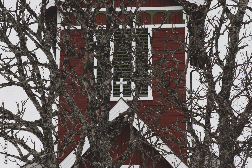 The branches of the dry tree in winter That obscures the sacred rights ...