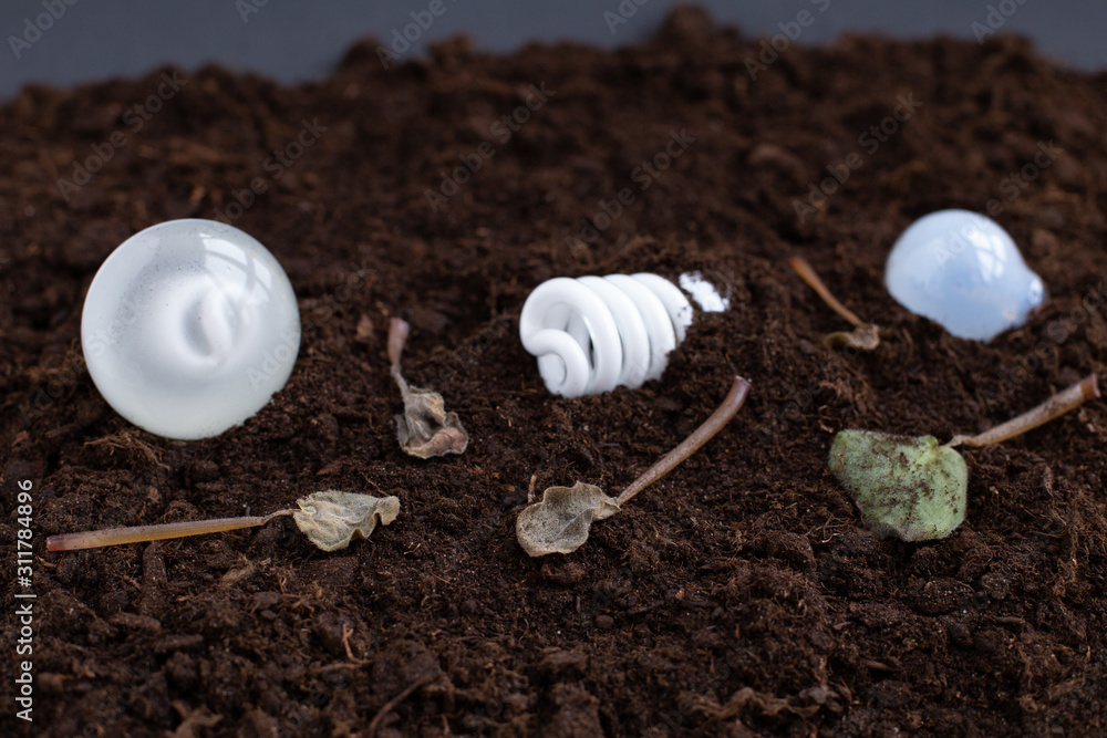 Light bulbs of different types in the soil with wilted dying plants ...