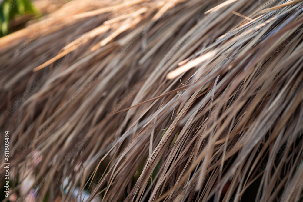 Стоковое фото «Thatch roof background, hay or dry grass background. A ...