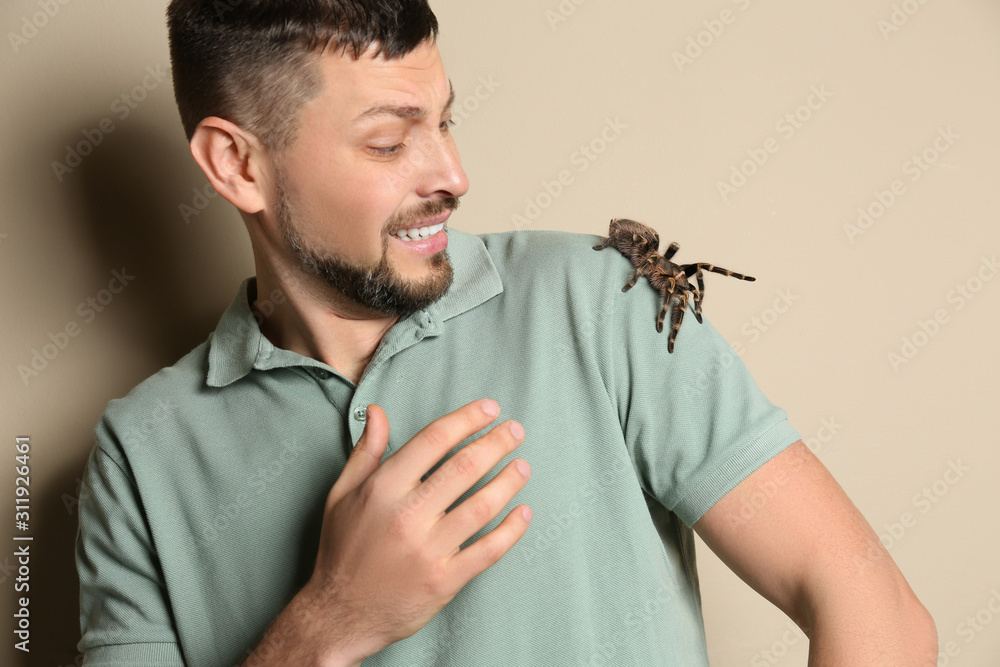 Scared Of Spiders