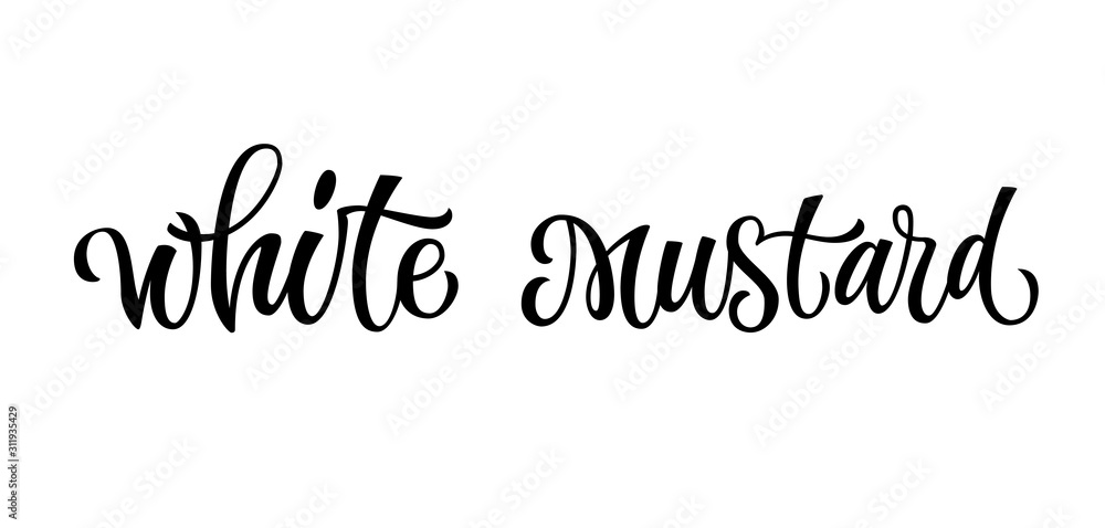 White mustard - vector hand drawn calligraphy style lettering word ...