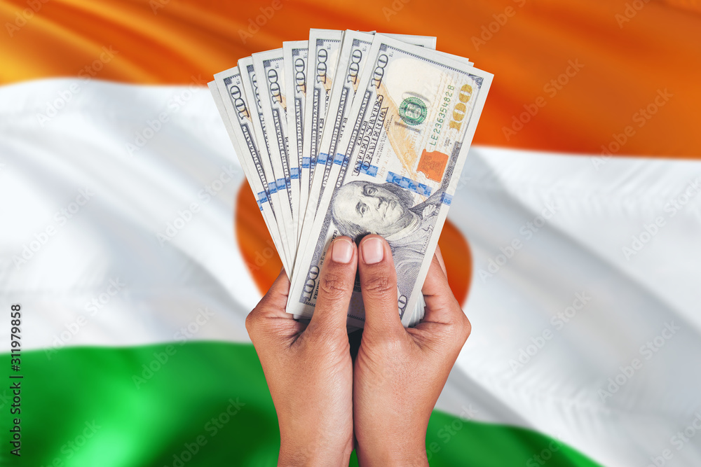 Niger Currency