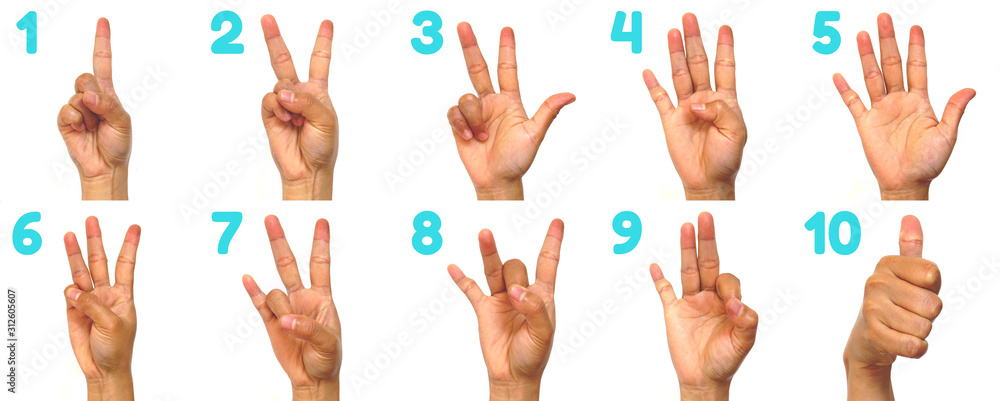 American Sign Language Numbers Sign Language Number 1 Royalty Free
