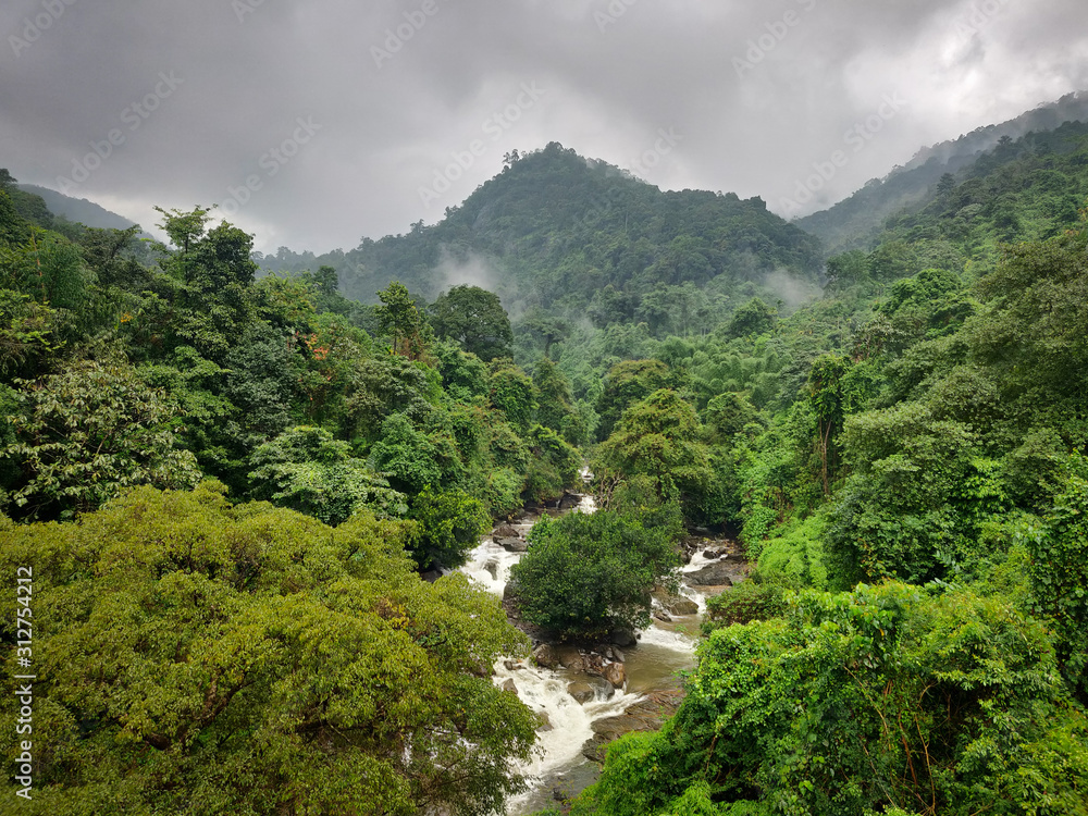 Landscape image of Thusharagiri Falls between dense green forest in ...