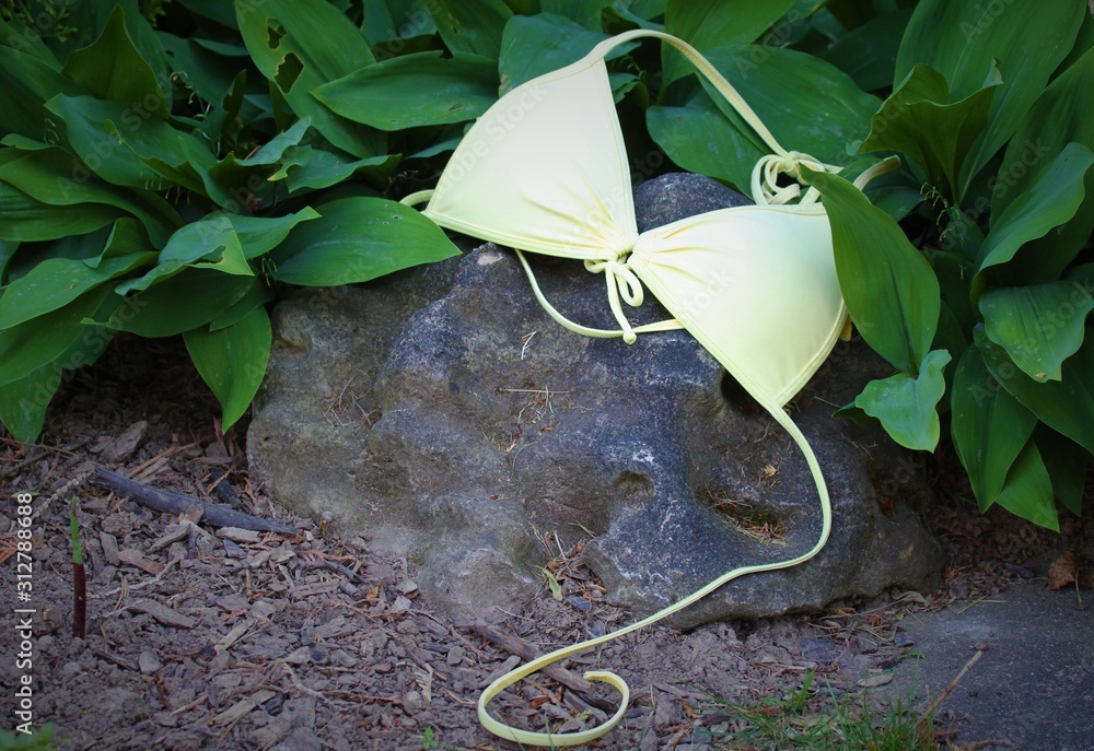 lost bikini top after skinny dipping Stock Photo | Adobe Stock