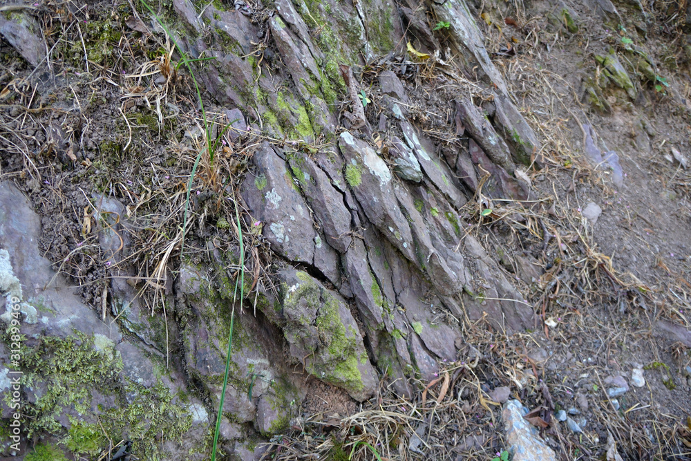 Shale Sedimentary Rock. Shale is a laminated or fissile clastic ...