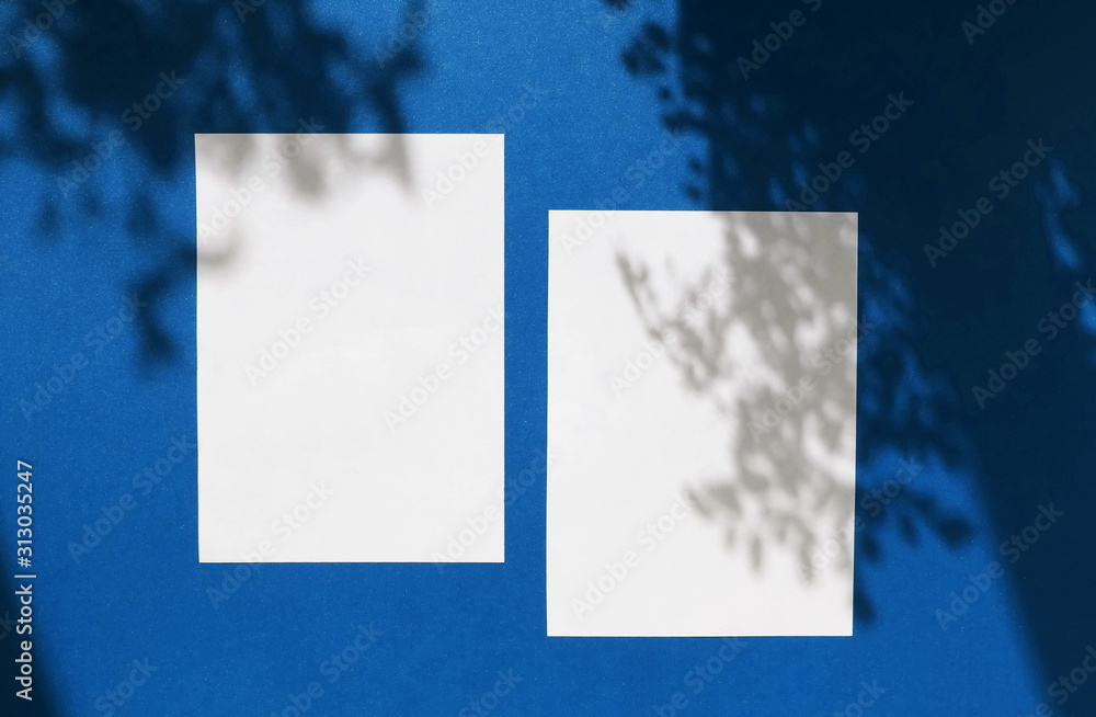 Empty white blank mockup with soft floral shadows on blue background ...
