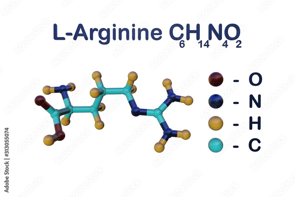 Structural chemical formula and molecular model of l-arginine, a ...