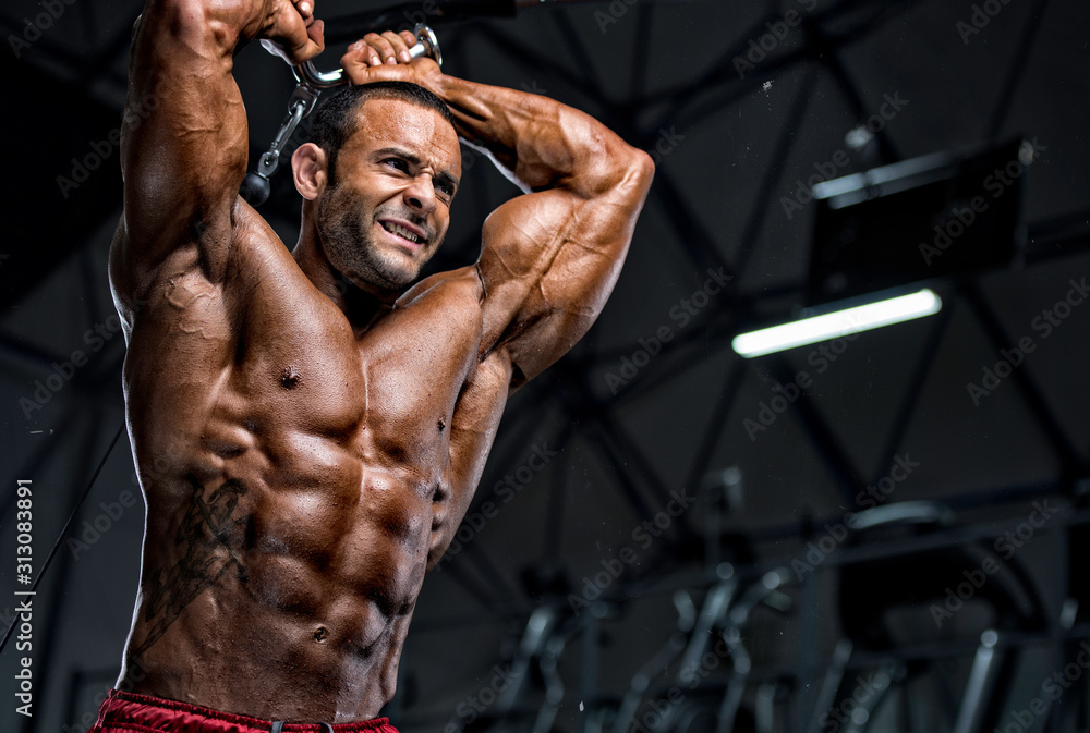 Bodybuilder Doing Triceps Exercise in the Gym Stock Photo | Adobe Stock
