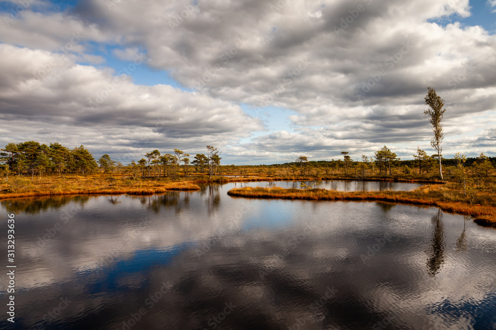 Estonian bog view, sky and white clouds reflected in wrinkled water ...