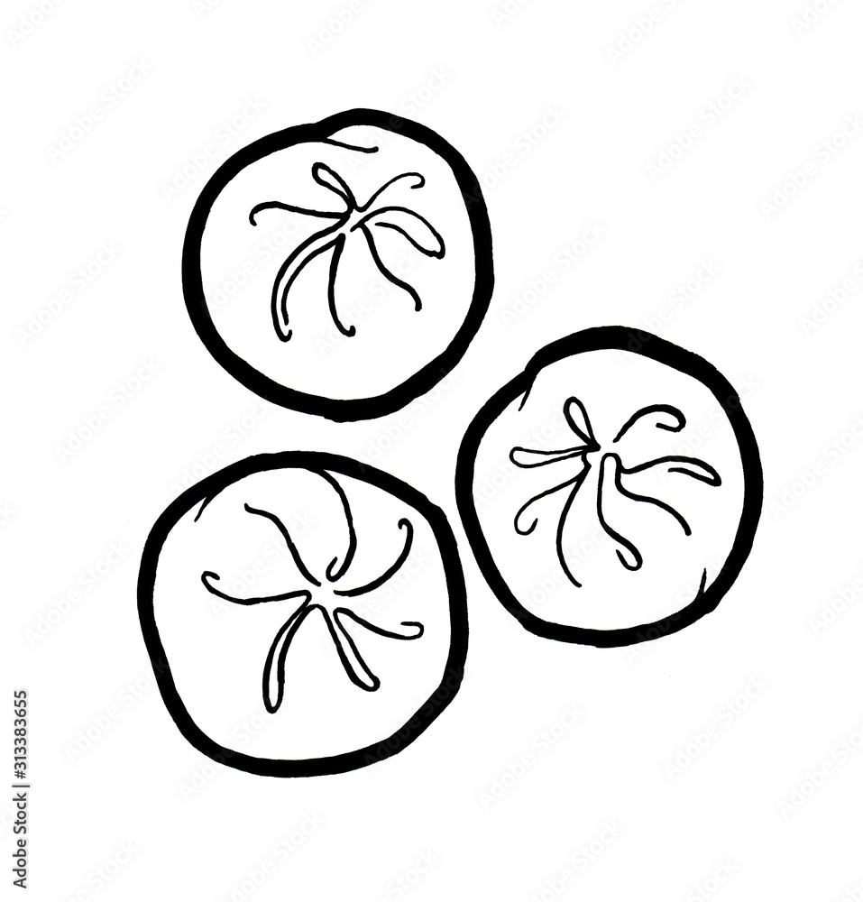 Photo Stock Dim sum. Black and white linear graphic. Ink hand drawing ...