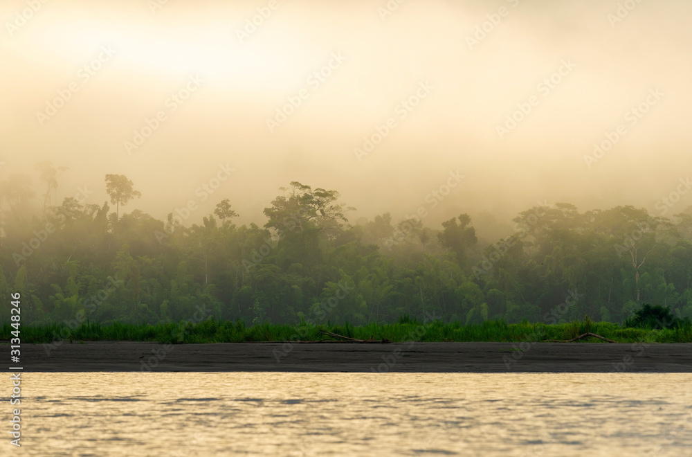 Sunrise by the Amazon river with the rainforest in the fog. The Amazon ...
