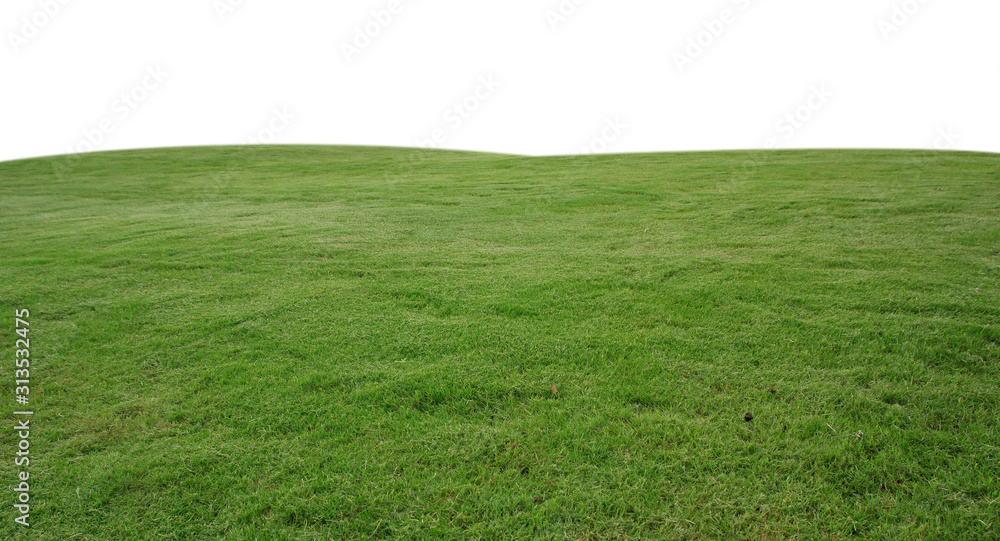 fresh green grass lawn isolated on white background Stock Photo | Adobe Stock