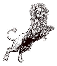 Lion Vintage Illustration Free Stock Photo - Public Domain Pictures
