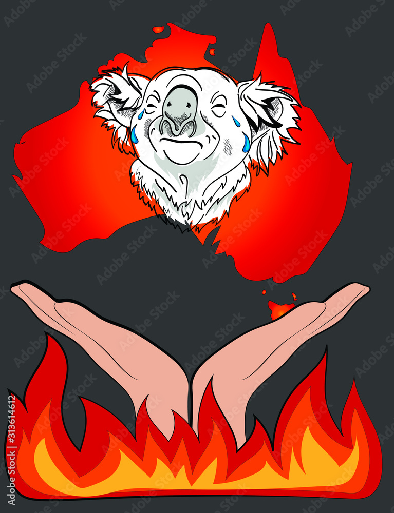 Koala crying on background of map of Australia. The forest is burning ...