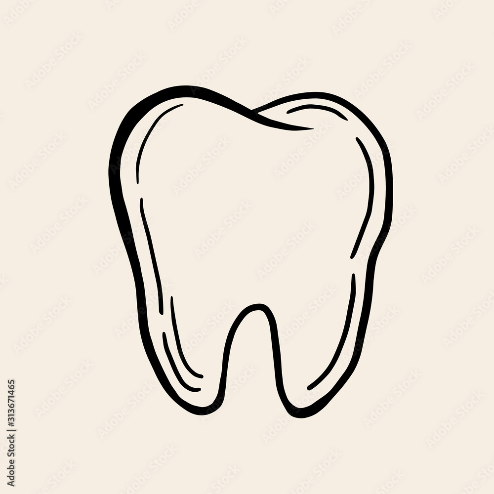 Tooth. Vector linear illustration in sketch style. Freehand drawing of ...