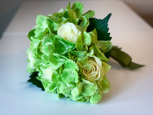 Beautiful Hortense Free Stock Photo - Public Domain Pictures