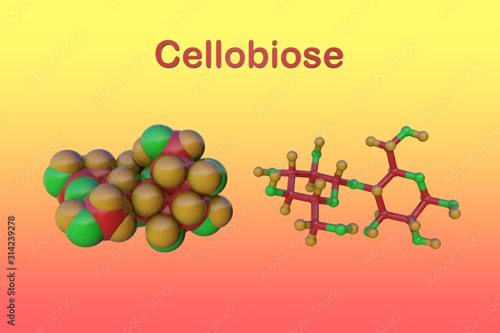 Molecular structure of cellobiose on colorful background. Cellobiose ...