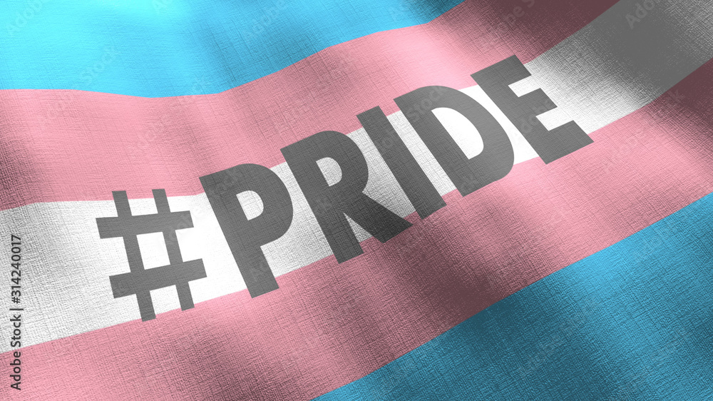 Transgender pride rainbow waving flag with text on it. Seamless cgi ...