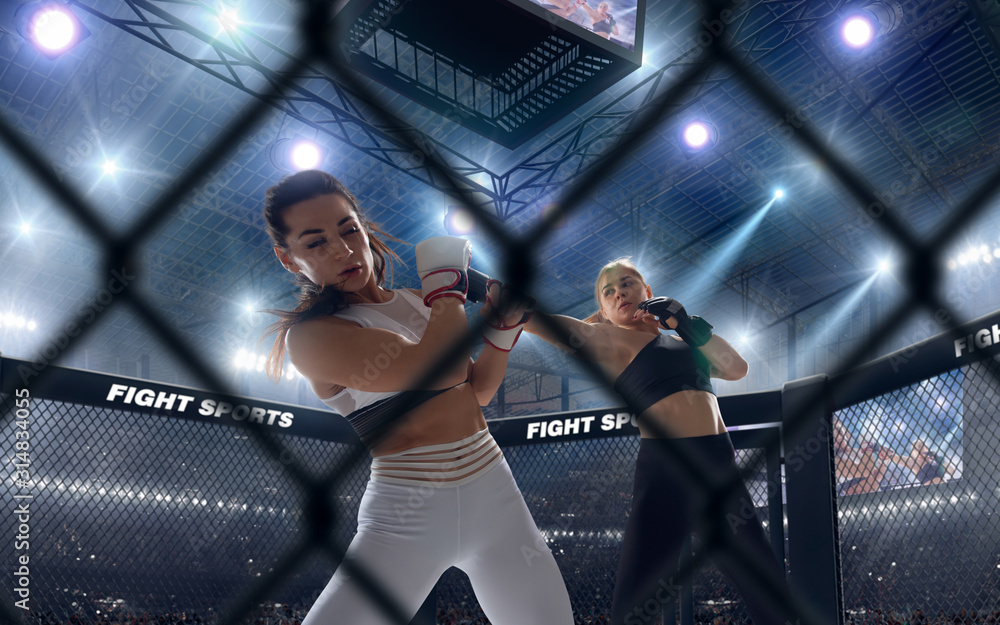 MMA female fighters on professional ring. Stock Photo | Adobe Stock