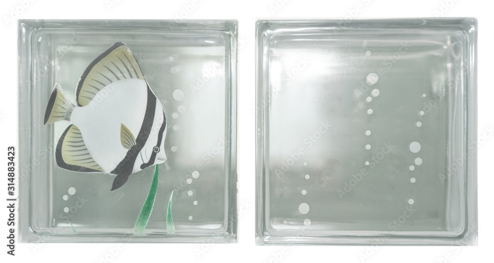 Isolated see through square bathroom glass block cube stall panel with ...