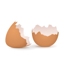 Egg Shell Free Stock Photo - Public Domain Pictures
