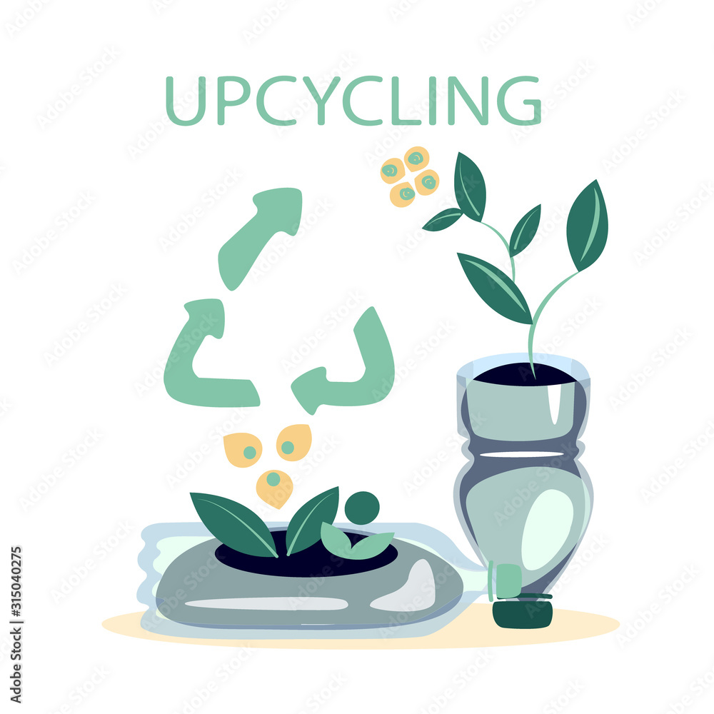 Upcycling plastic bottles cutting utilized jar to plant seedling and ...