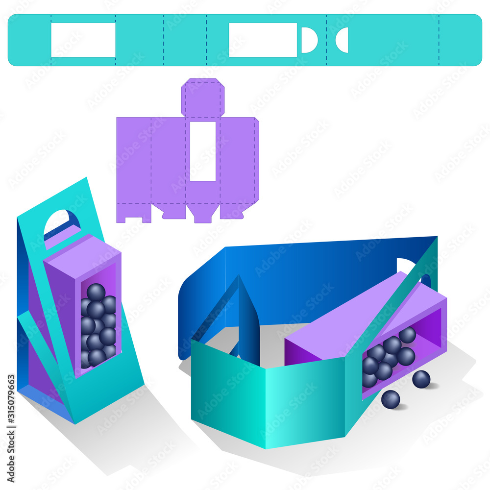 Gift Box Packaging Template Editable Blueprint Layout with Cutting and ...