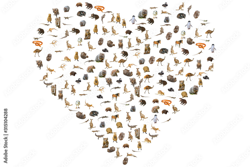 Australian animals in heart shape. Wildlife animals: Emu, Echidna ...
