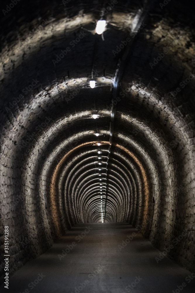 Former rail railroad tunnel transformed into a cycling path with lights ...