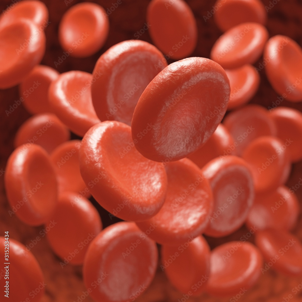 Red blood cells, illustration Stock Photo | Adobe Stock