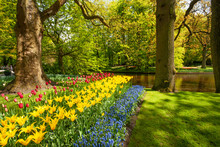 Flower Bed In The Park Free Stock Photo - Public Domain Pictures