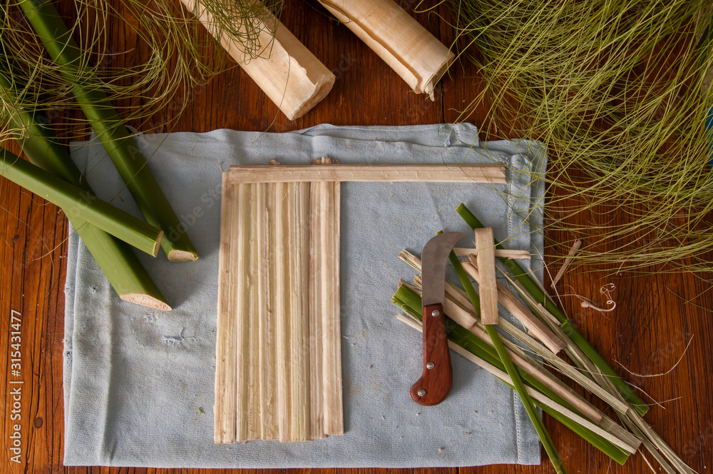 The making of papyrus paper: Strips obtained from the stem of the plant ...