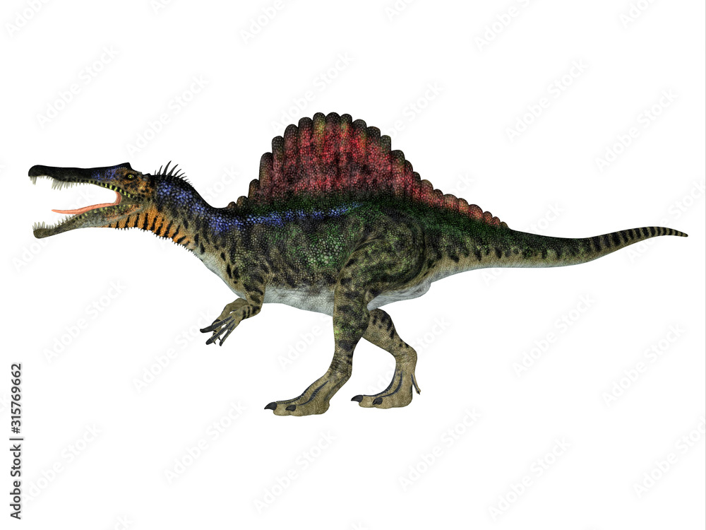 Spinosaurus Dinosaur Side Profile - Spinosaurus was a carnivorous ...