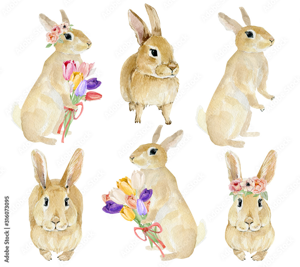 Easter rabbit clipart set. Hand drawn watercolor animal forest with ...