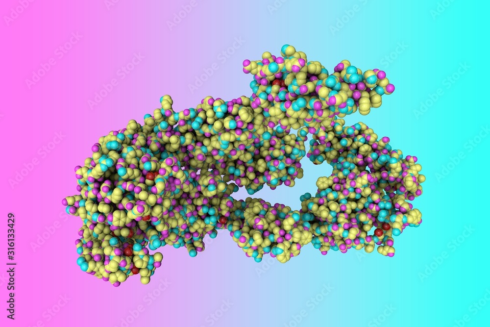 Stock-Illustration „Space-filling molecular model of the insulin ...