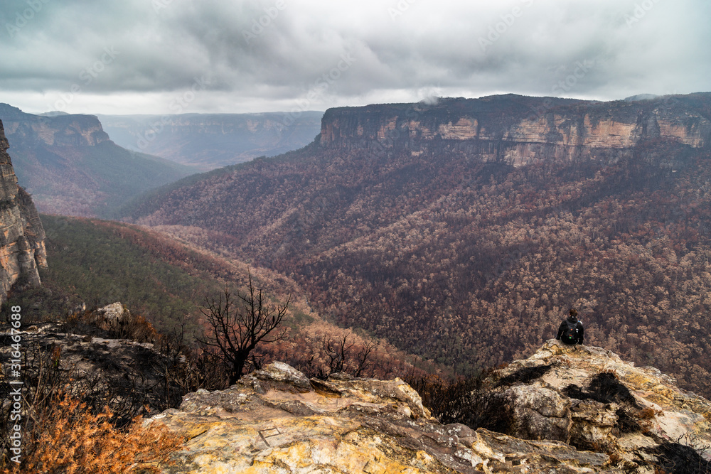 Before and after images of the devastating bushfires in The Blue ...