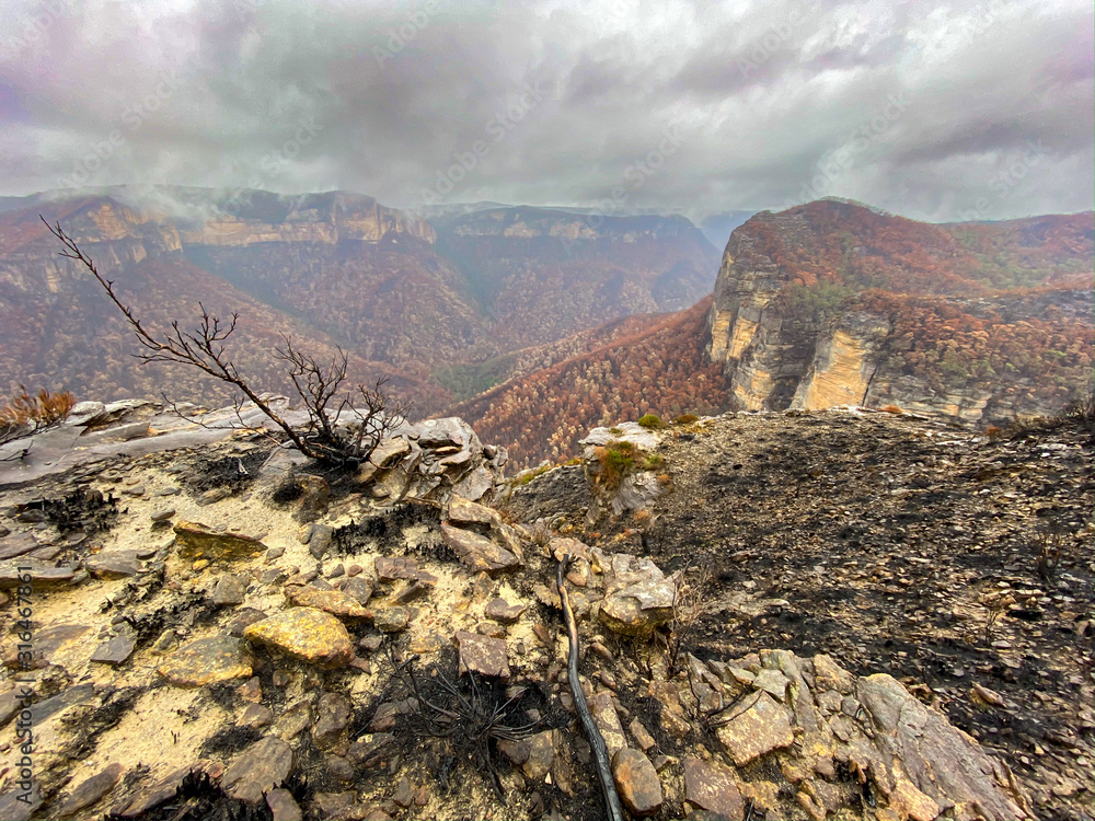 Before and after images of the devastating bushfires in The Blue ...